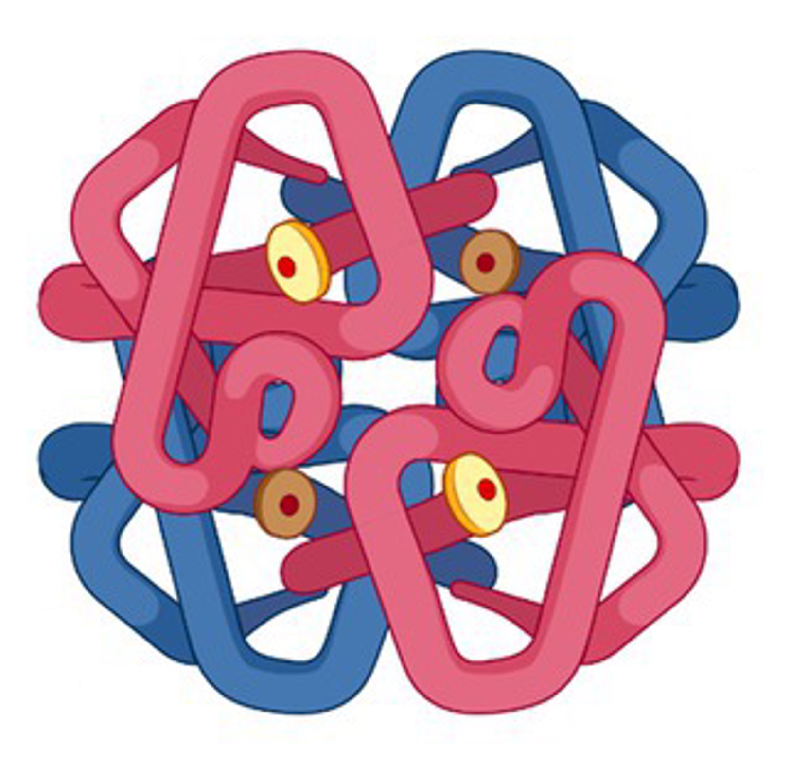 Protein Structure Protein Structure